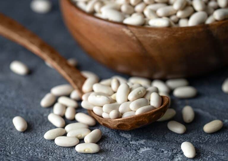 The Top 6 Healthiest Beans You Need in Your Diet - Nutrition in USA